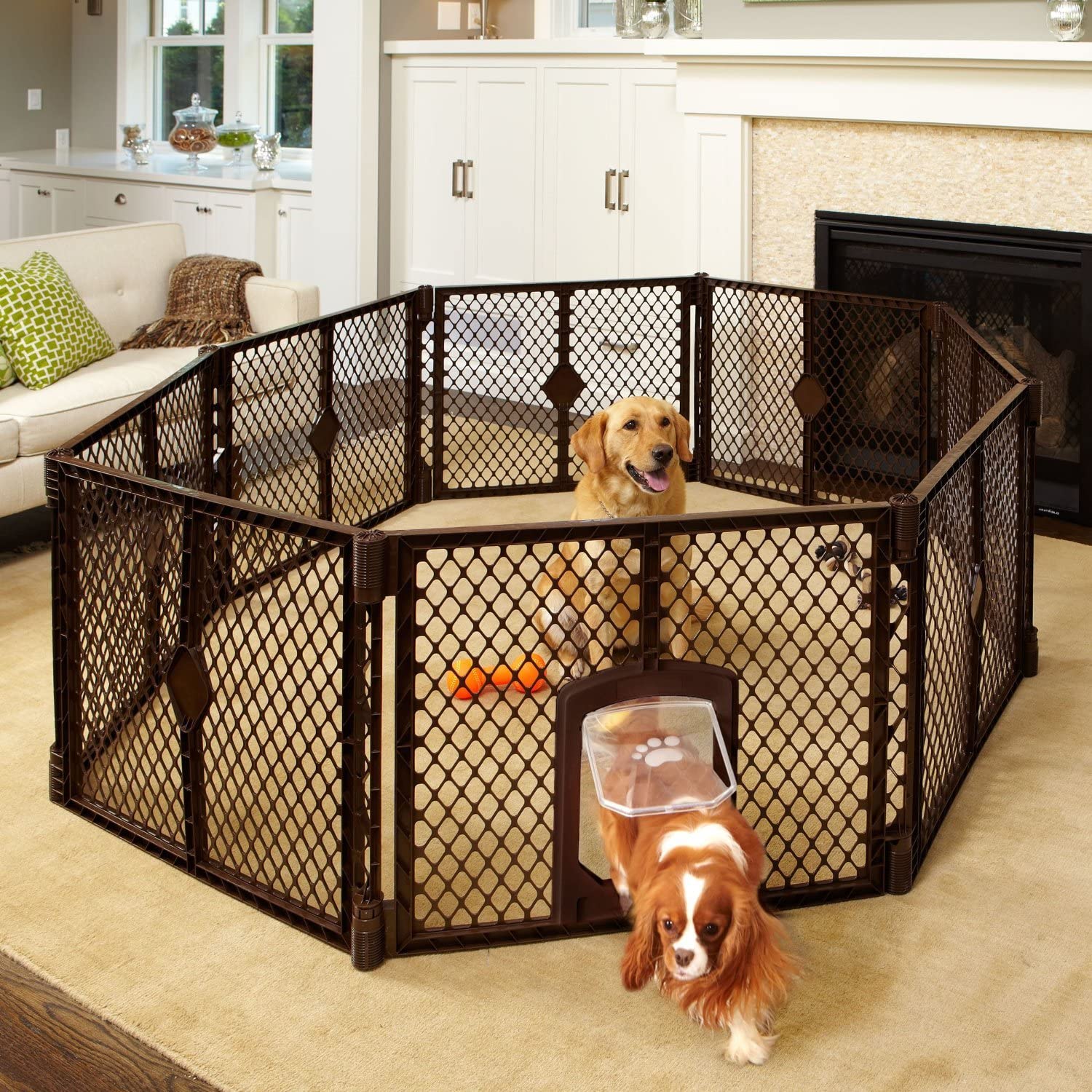 Best Portable Dog Fence for Camping With Your Dog in 2025